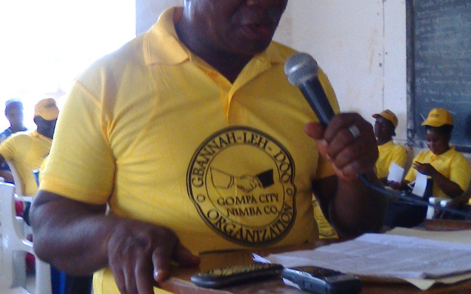 Community Organization Launches Development Drive in Nimba County ...