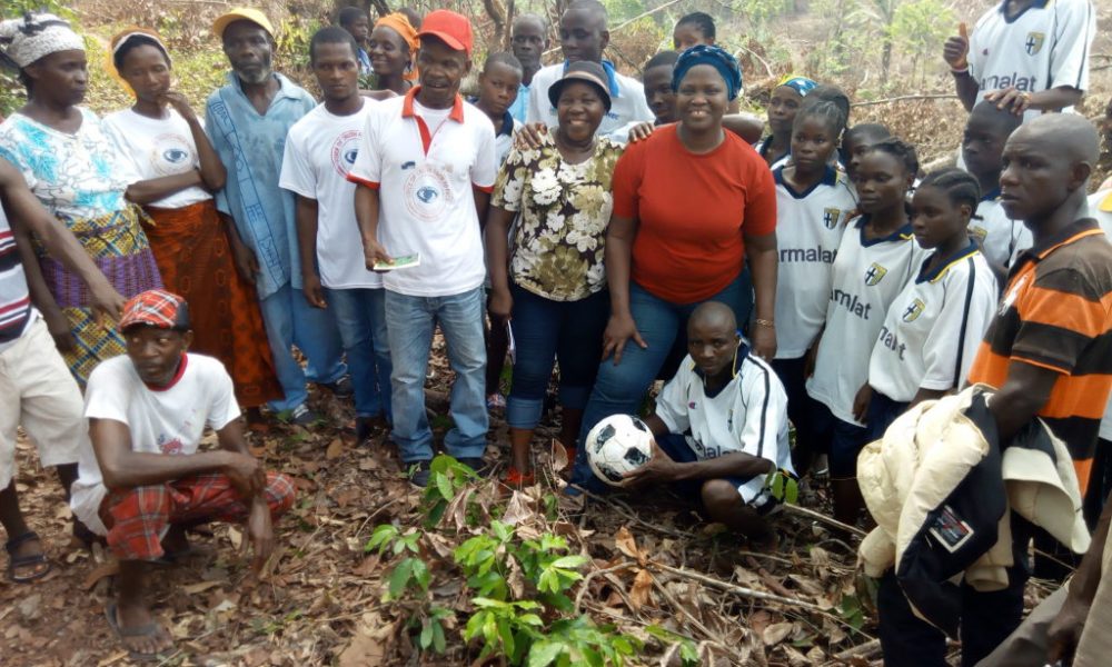 Grand Bassa County: Two Groups Collaborate To Cultivate 100 Acres ...